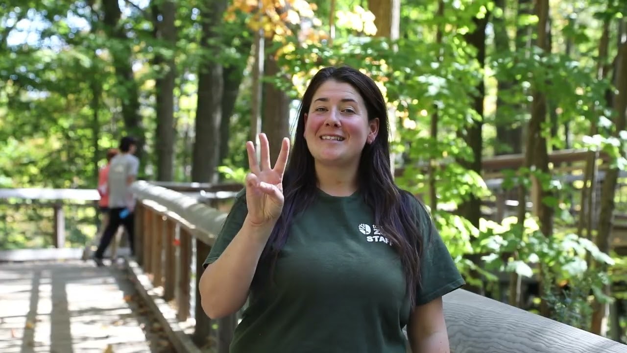 Top 3 Reasons To Visit Toronto Zoo This Fall 🍂🍁 - Toronto Zoo Zoo Guide