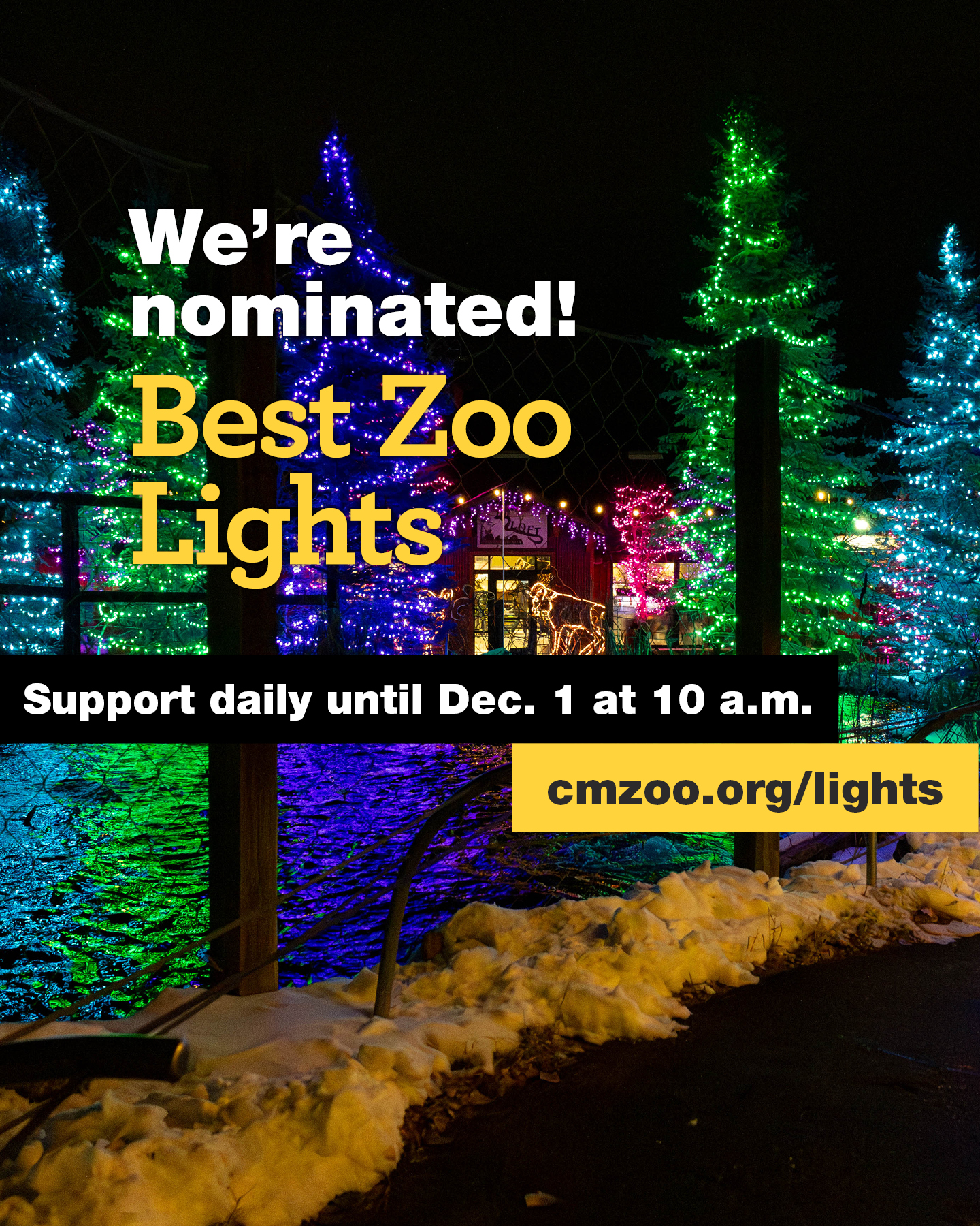 Electric Safari Nominated For Best Zoo Lights In North America ...