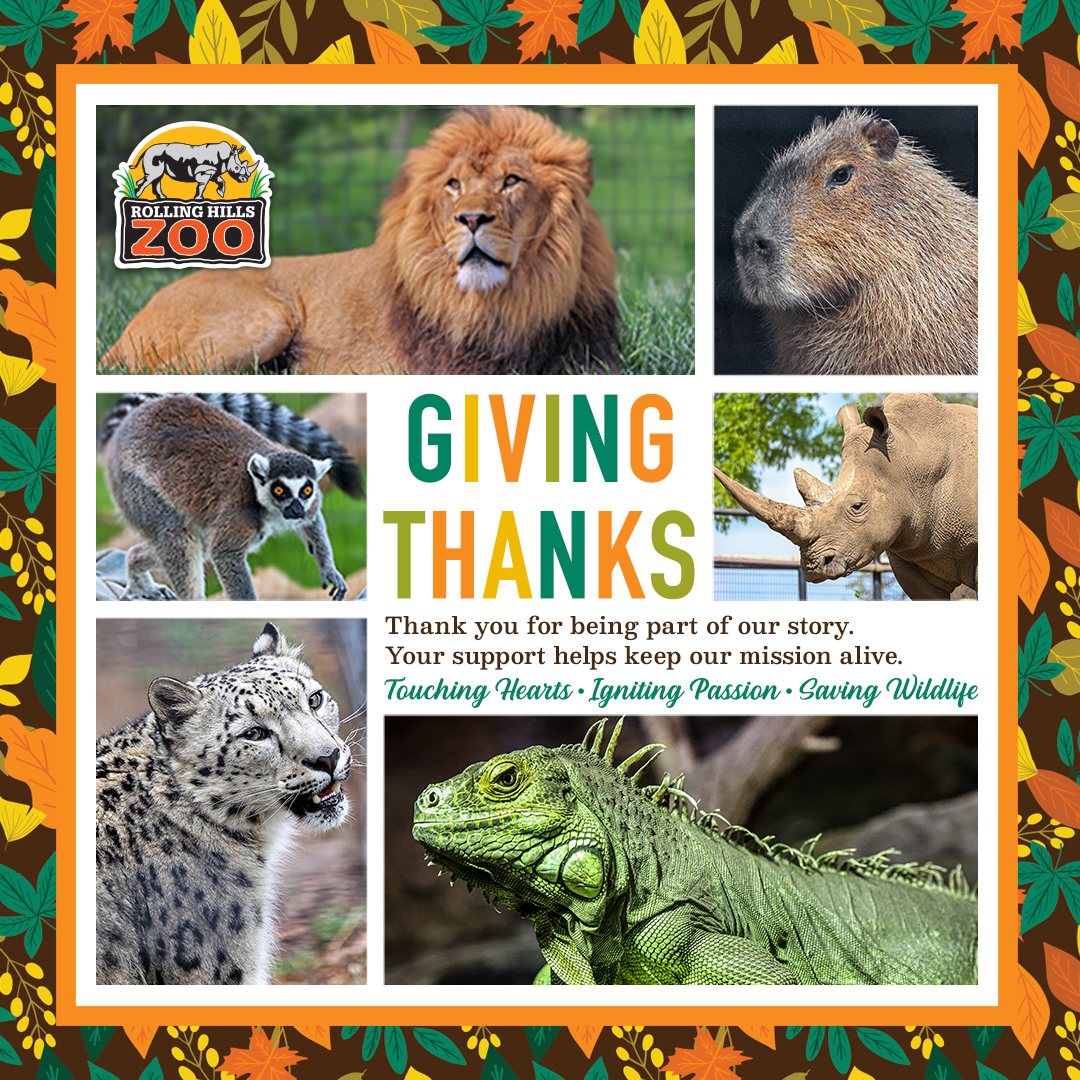 Thanksgiving Greetings From Rolling Hills Zoo! - Rolling Hills Zoo Zoo ...
