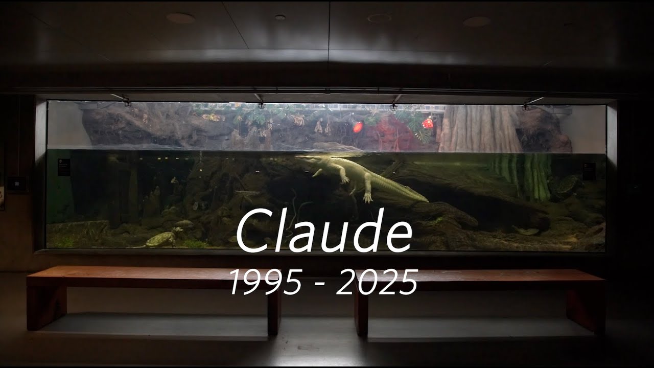 Farewell, Claude 🤍 | California Academy Of Sciences - Steinhart ...