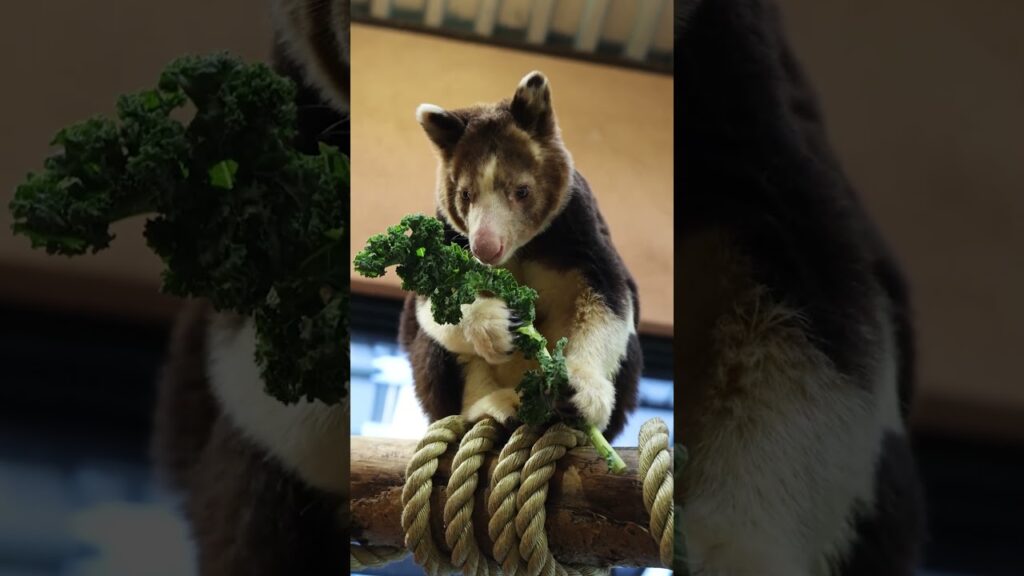 Discover Serious Kale Crunching With Som: #FoodFriday Delight ...