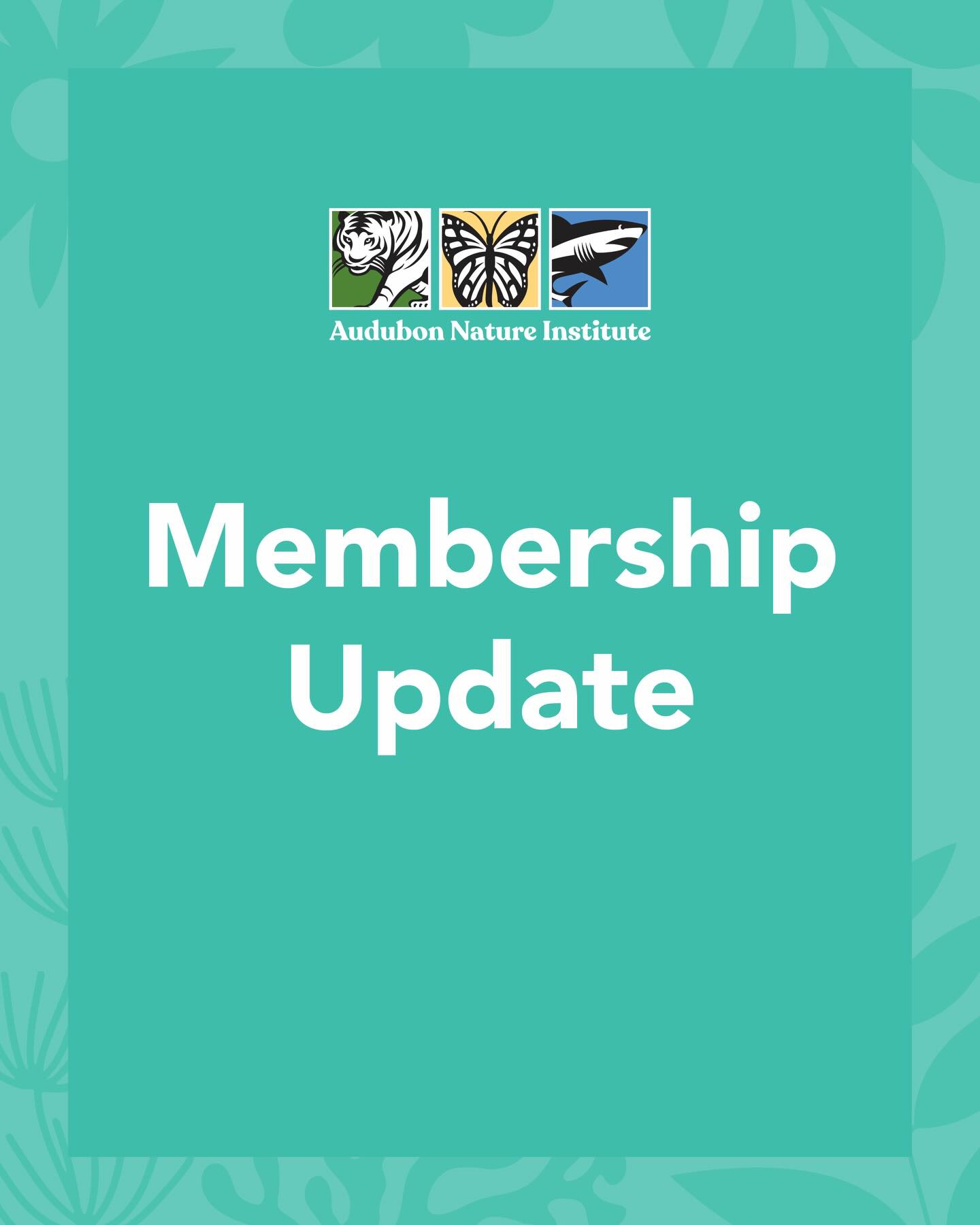 Audubon Nature Institute To Launch New Membership Options - Audubon Zoo ...
