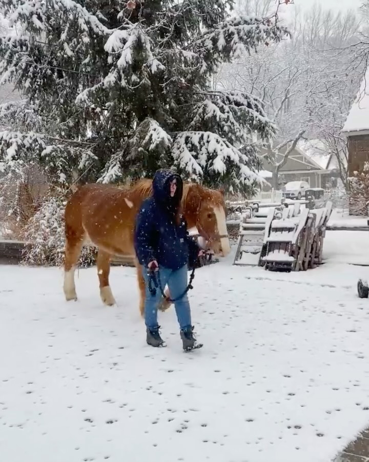 Zoo Closed Today, But Dolly’s Daily Adventures Continue - Zoos - USA ...