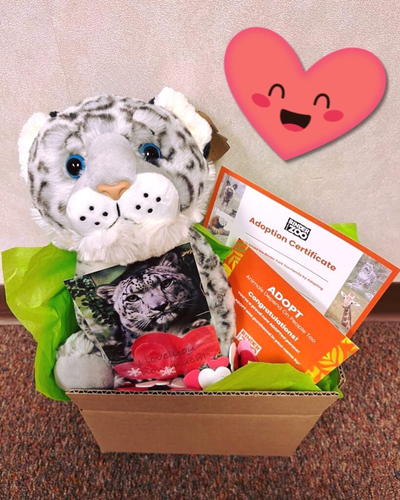Discover This Adorable Gift Box For Your Valentine! - Zoos - USA ...