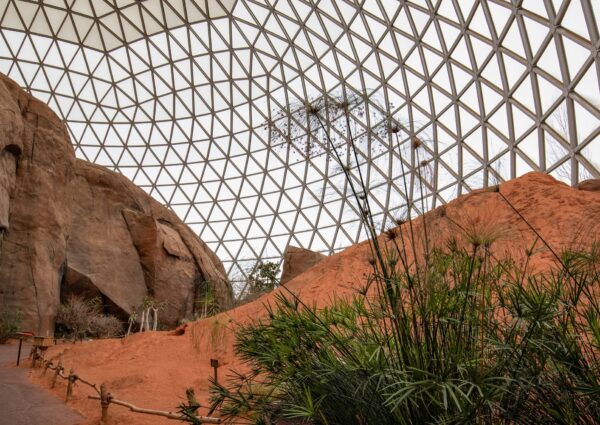 A Tropical Welcome Awaits You In The Lied Jungle - Zoos - USA ...