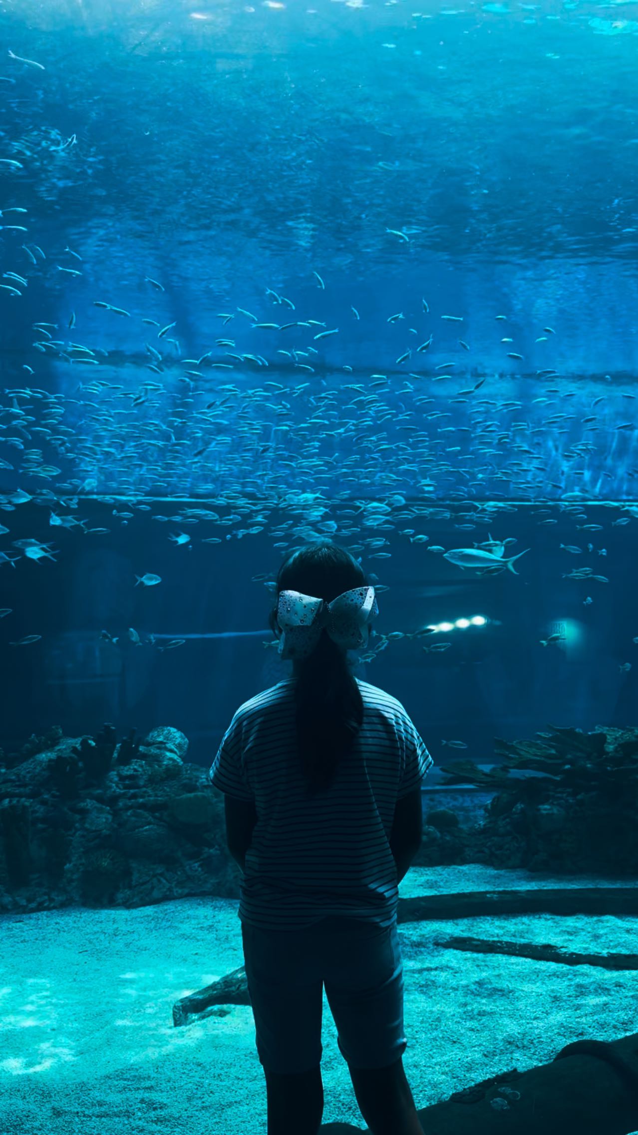 Visit Texas State Aquarium For A Fun Family Day! - Texas State Aquarium ...