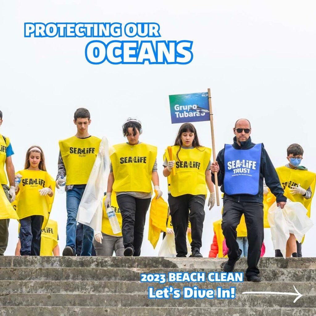 Join Us In Supporting Our Oceans: A Positive Impact! - SEA Life AZ Zoo ...
